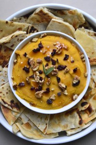 Fall Harvest Dip – Apricity